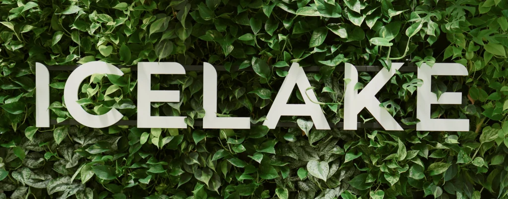 ESG - Icelake